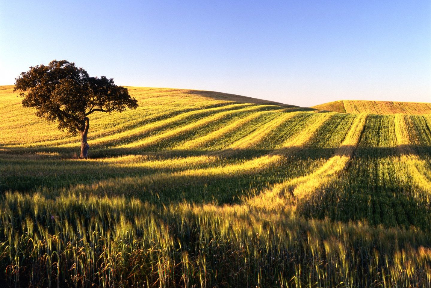 Alentejo & Andalusia - Golden Plains of Spain and Portugal