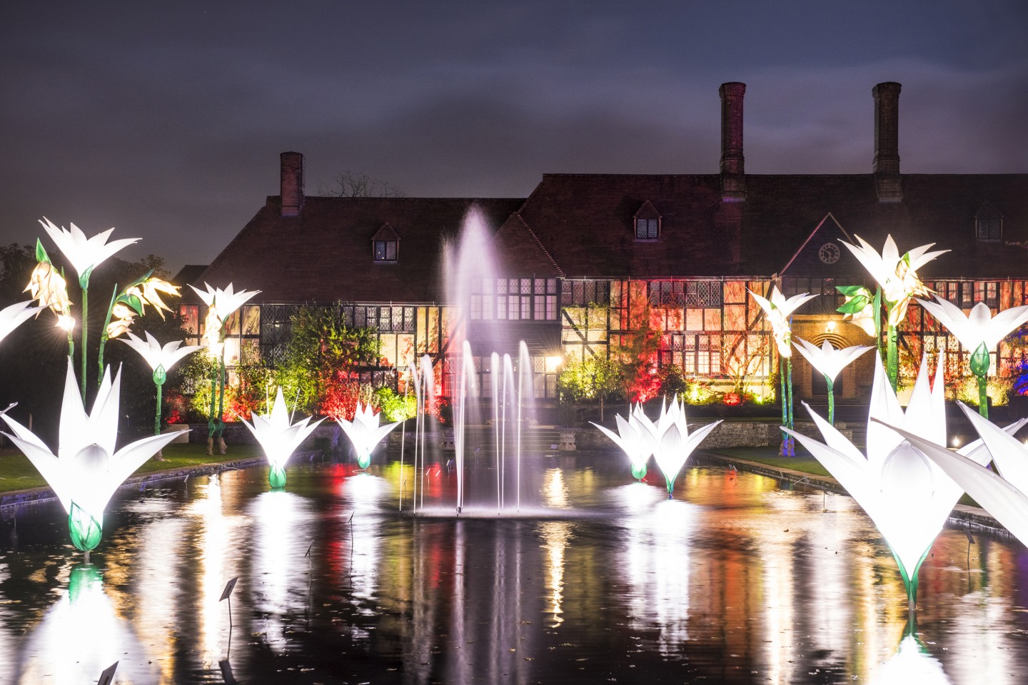 Amazing RHS Wisley Group Tours - Christmas in London